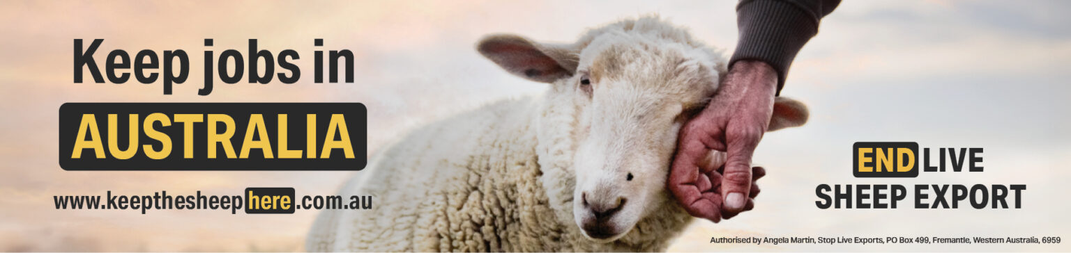 Keep The Sheep Here | Stop Live Exports Campaign