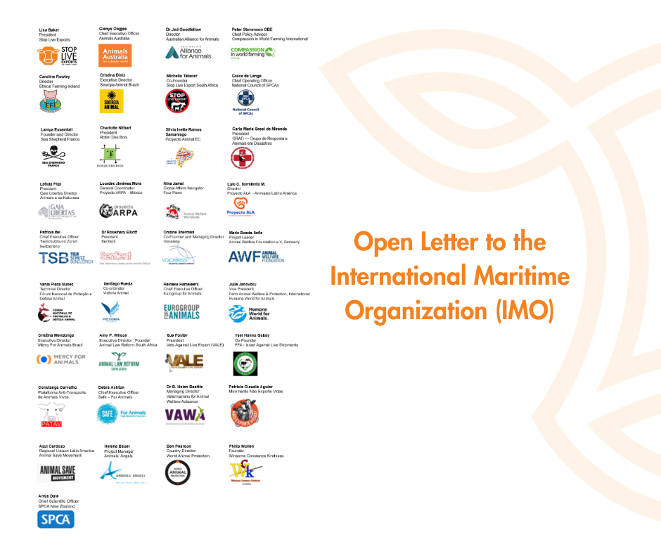 Open Letter to the International Maritime Organization (IMO) | Stop ...